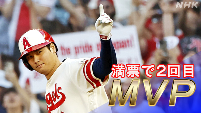 オオタニさん 2回目の満票MVP 2023年11月17日（日本時間） | 有限会社セーフティ